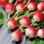 Crna rotkva | Narodna medicina